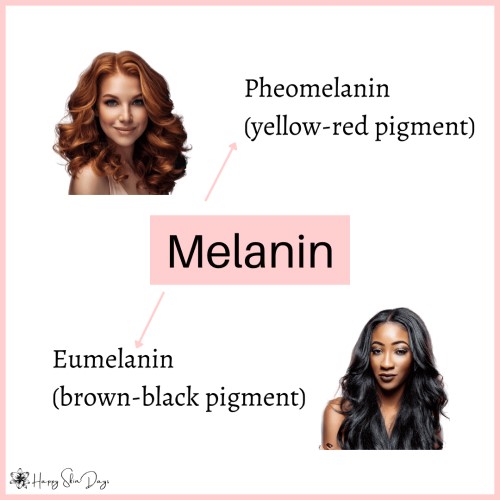 Skin colour - what and why? - Happy Skin Days